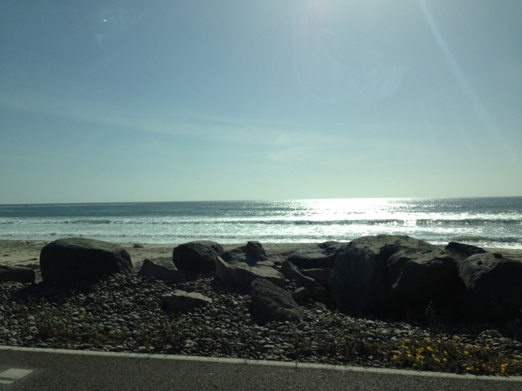 The Illness that’s Everywhere | petersironwood